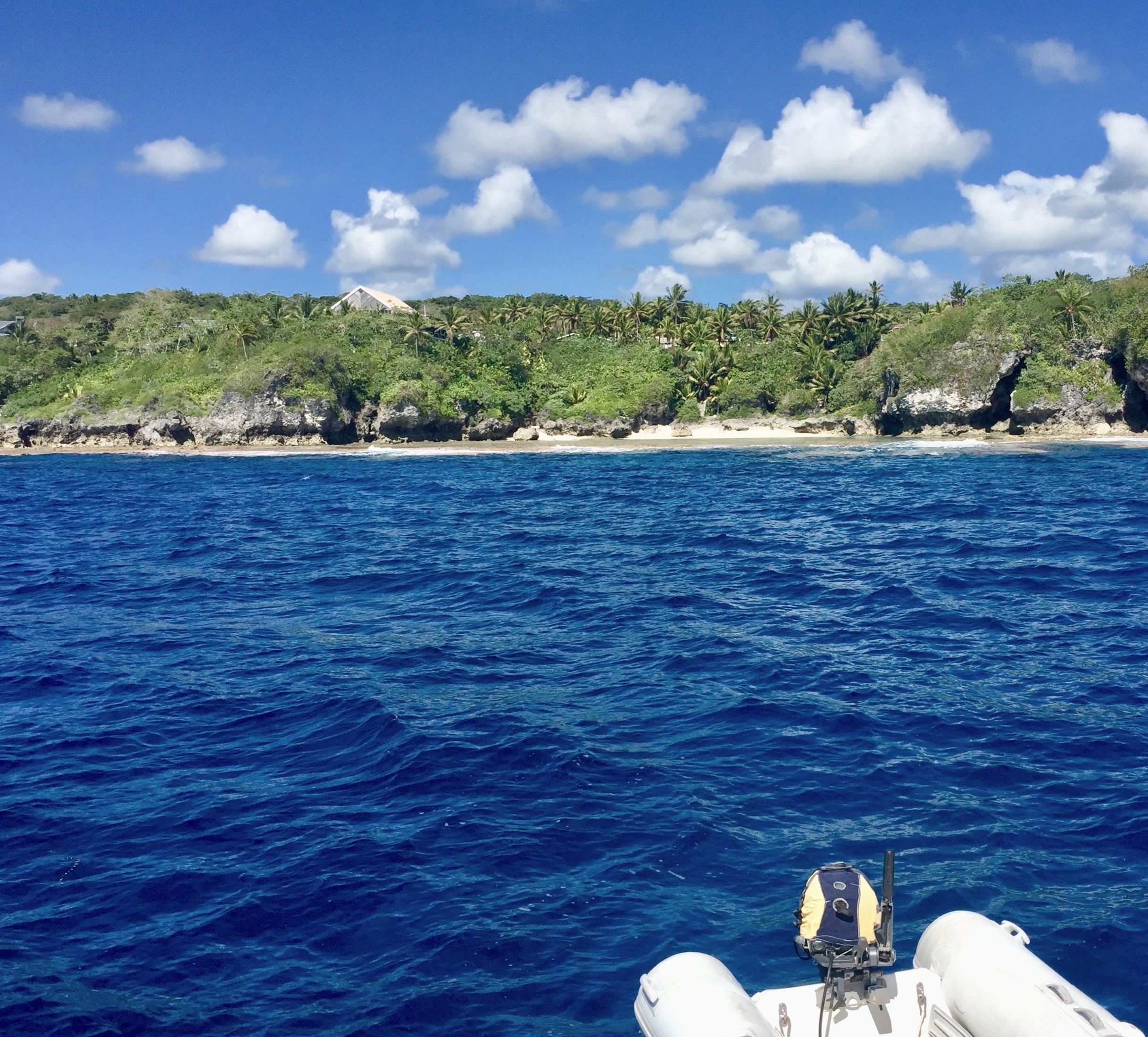 Niue View – Dazzler's Watch